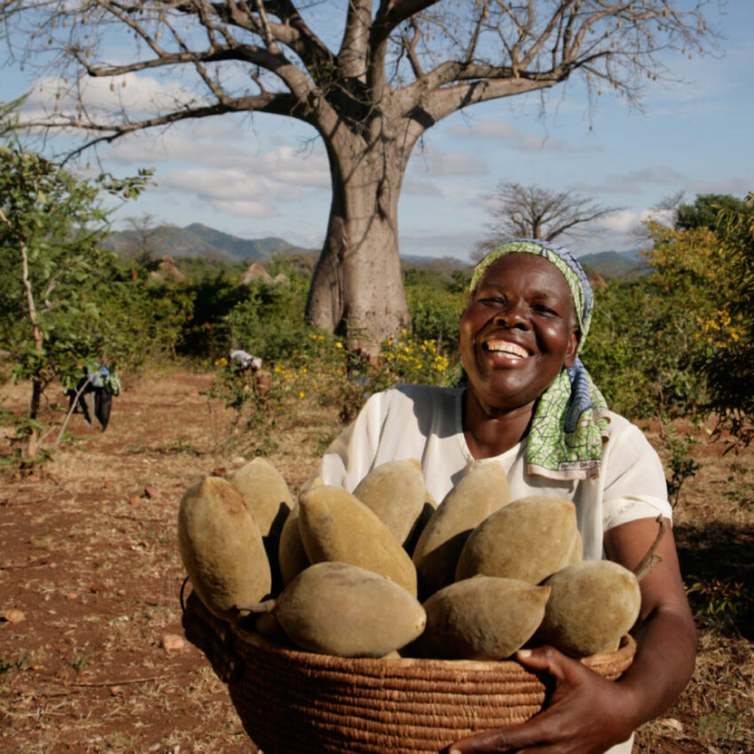 Organic Baobab: All-Natural Baobab Powder, Capsules & Oil